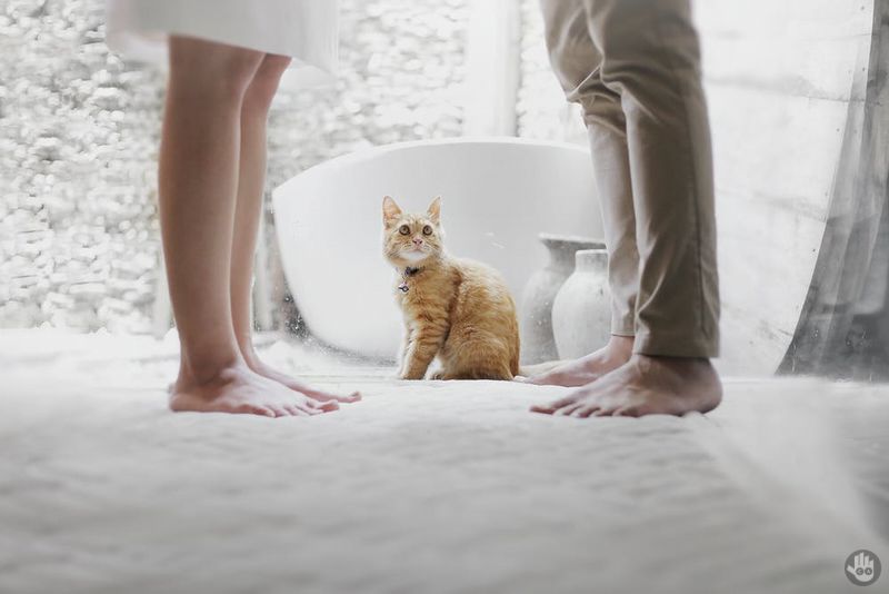 Going barefoot in the snow is a very sensuous and a pleasurable ...